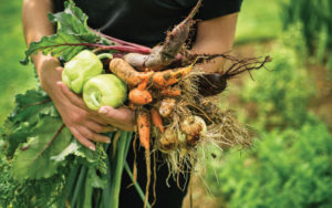 Certificate in Organics Level 3 and Level 4 - The Organic College